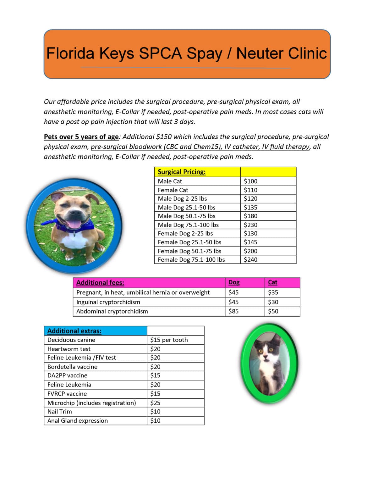 Spay Neuter Prices | Florida Keys SPCA