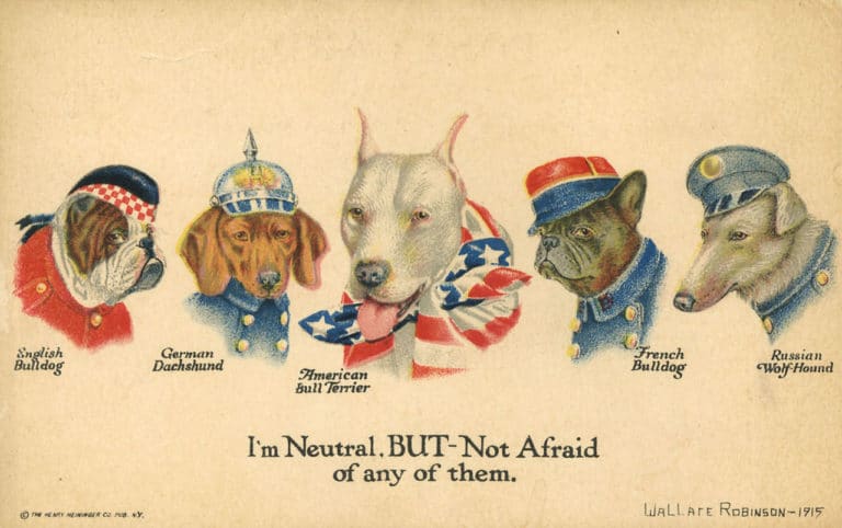 Pitbull WWII | Florida Keys SPCA