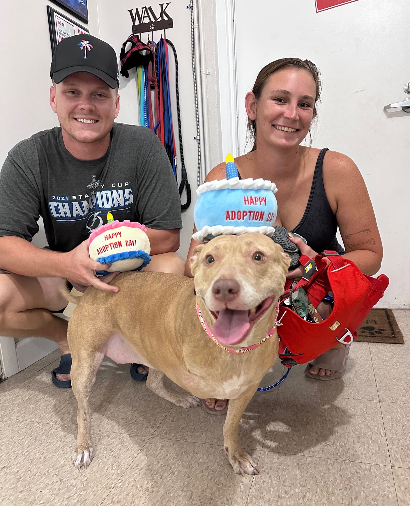 Sniper Home | Florida Keys SPCA