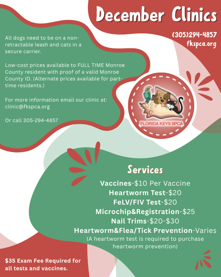 Wellness Clinic Key West | Florida Keys SPCA