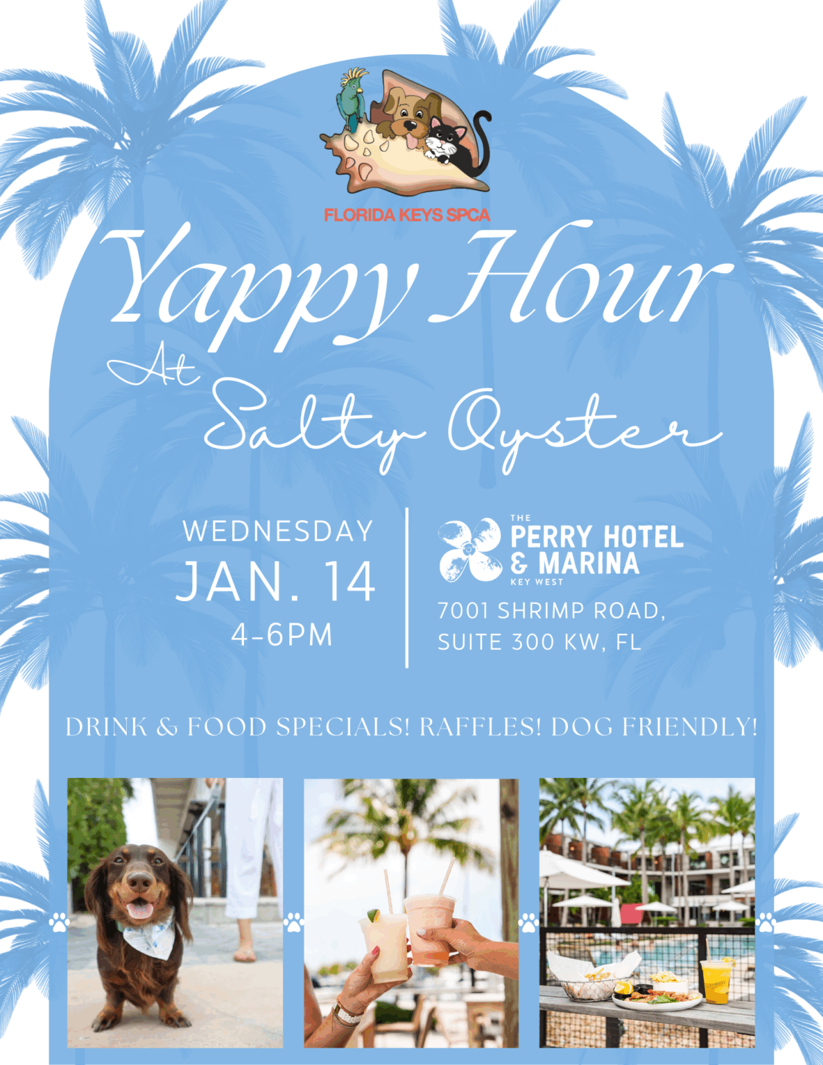 Yappy Hour at The Perry! | Florida Keys SPCA